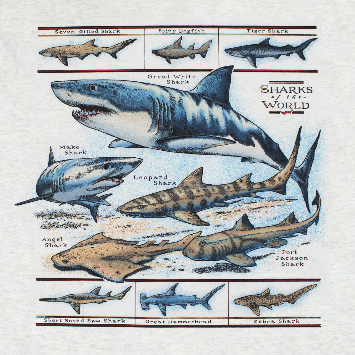 Field Guide To Sharks Adult Ash T-shirt – Liberty Graphics