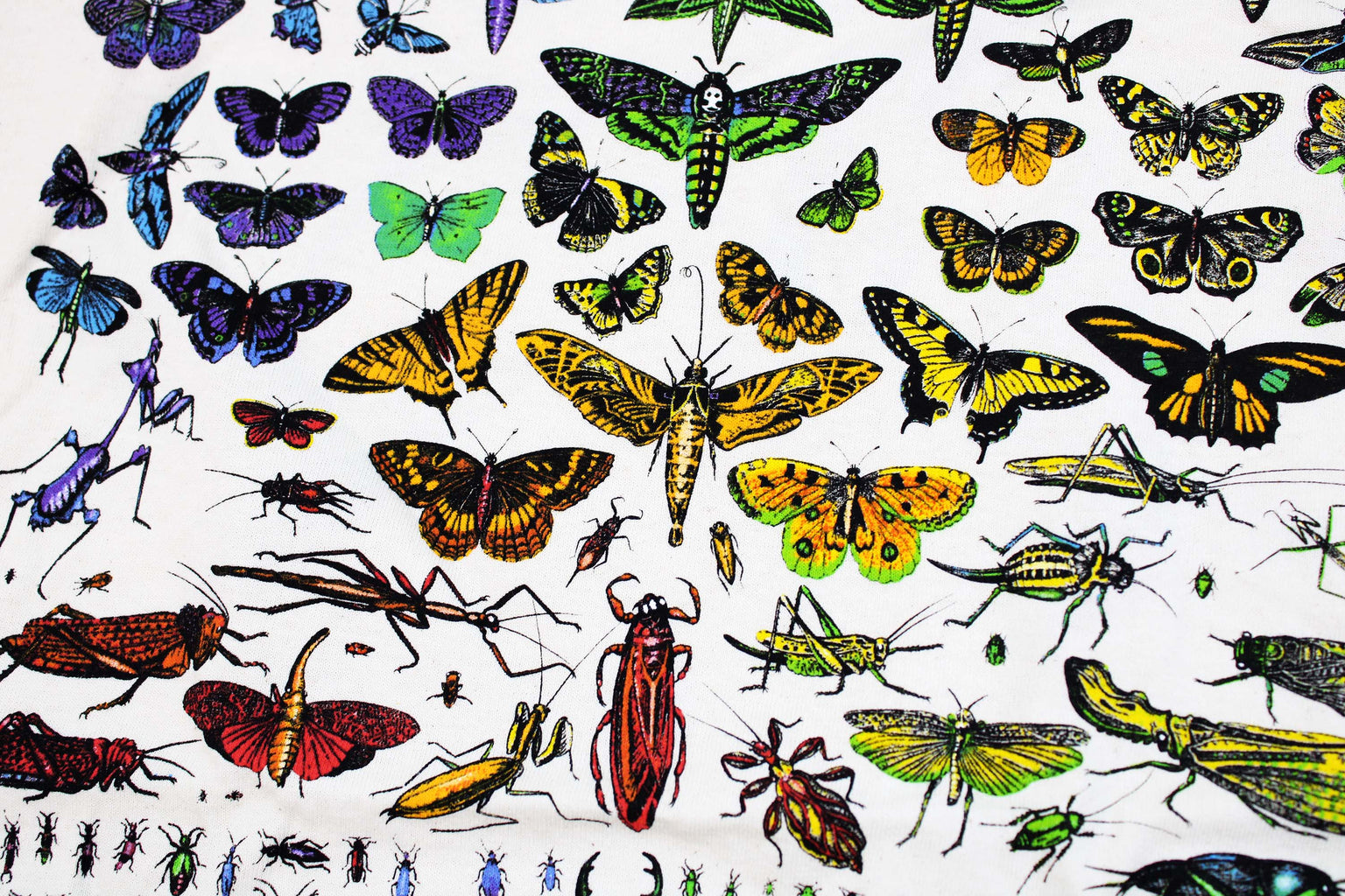 Liberty Graphics T-Shirts