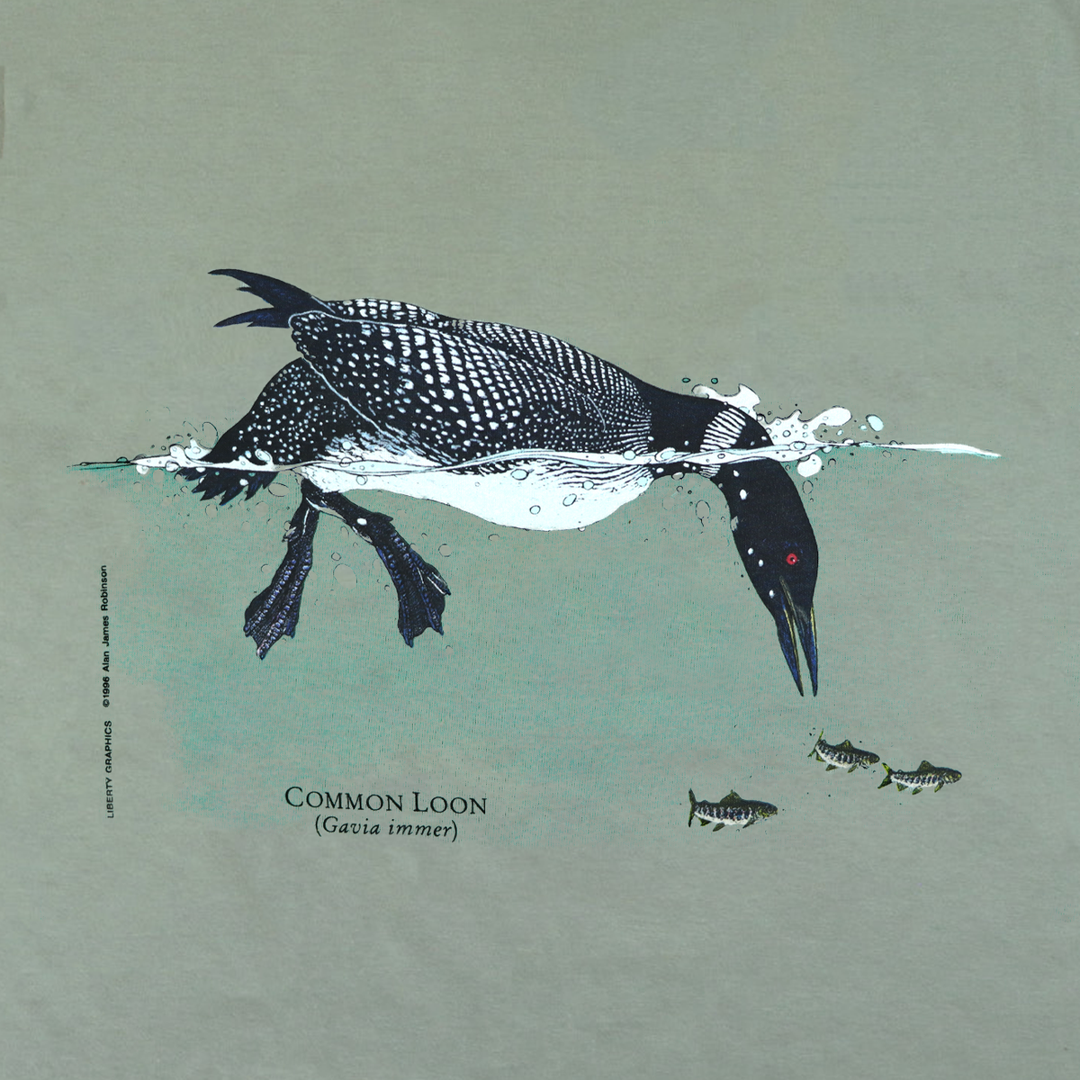 Common Loon Adult Sage T-shirt – Liberty Graphics