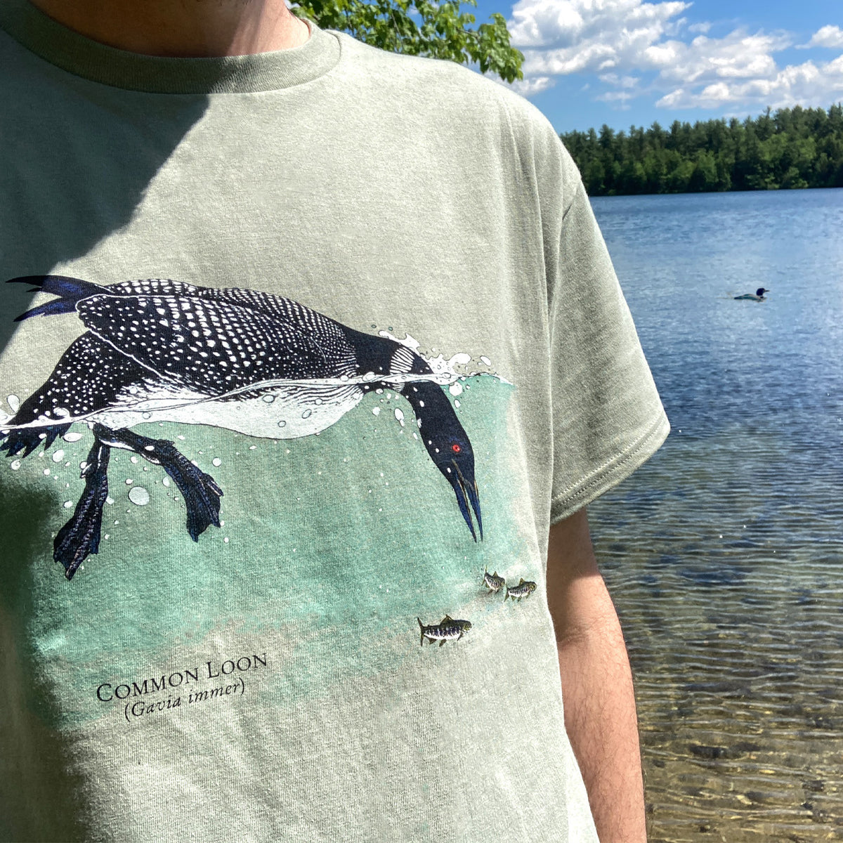 Common Loon Adult Sage T-shirt – Liberty Graphics