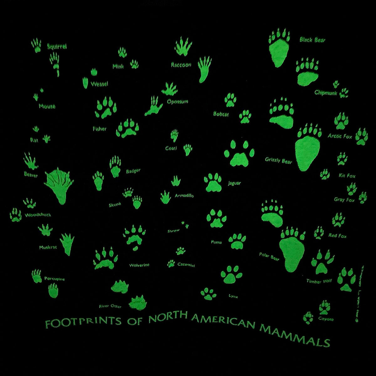 Footprints of North America Toddler Navy T-shirt – Liberty Graphics